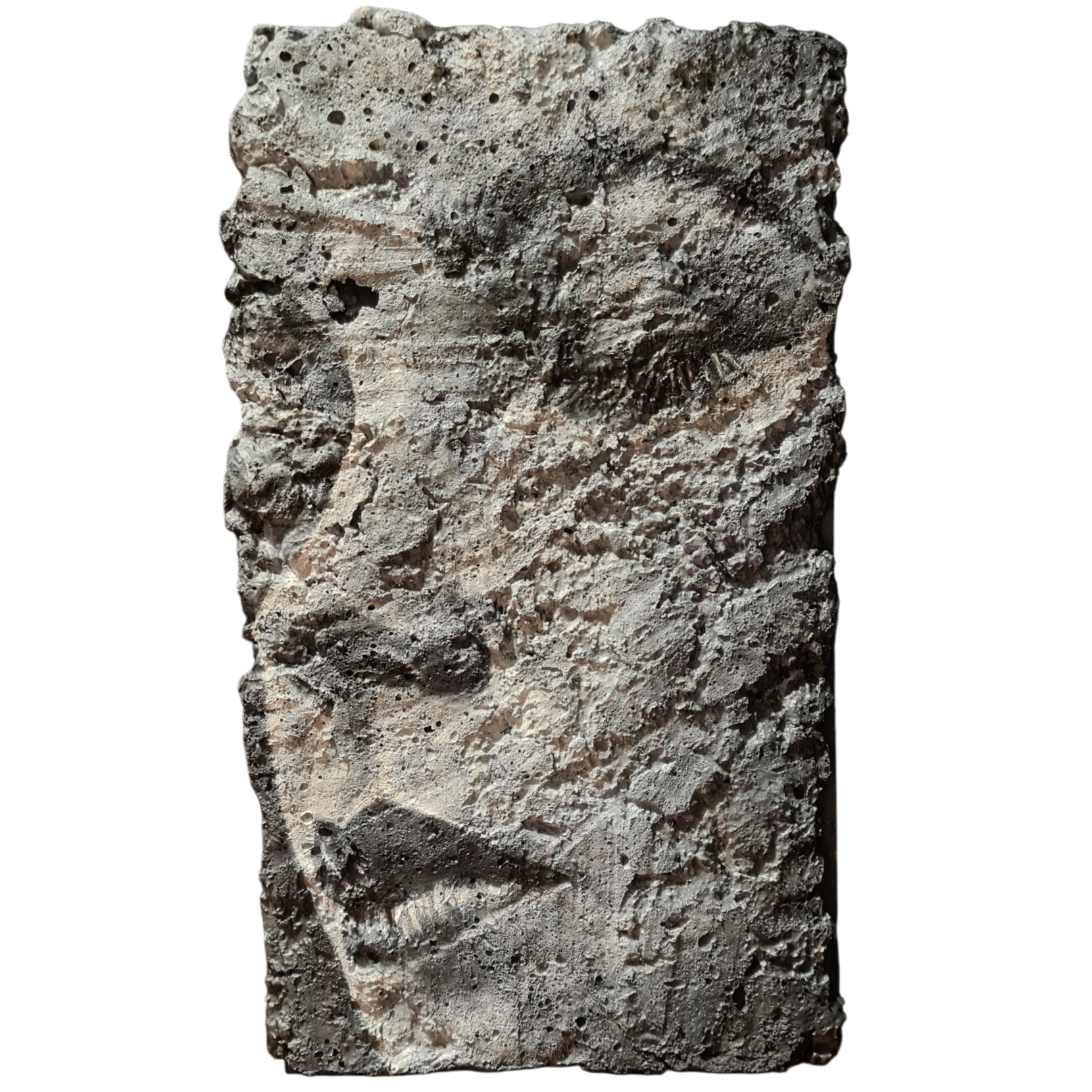 Rebeb - Figée - Ki Galerie